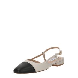 Steve Madden Ballerina 'BELINDA' Damen Gr&ouml;&szlig;e 36 hellgrau / schwarz