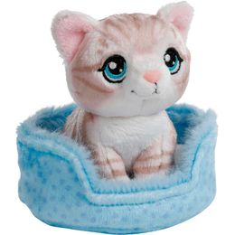 Nici Kinder Kuscheltier "Little Paws, Katze grau getigert, 12 cm, im K&ouml;rbchen blau", grau, B:11cm H:12cm L:10cm, Pl&uuml;schfiguren