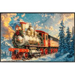 Fu&szlig;matte, B:50cm H:7mm L:75cm, bunt, wash+dry by Kleen-Tex, Polyamid, Au&szlig;enbereich, Teppiche, "Snow Express", waschbar und trocknergeeignet