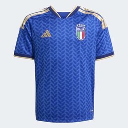 adidas Performance Trikot 'FIGC H JSY Y' Jungen Gr&ouml;&szlig;e 152 beige / blau / azur / rot