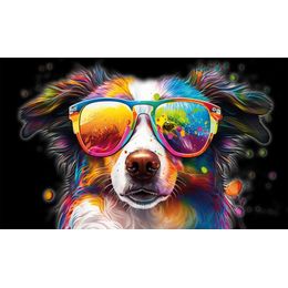 Leinwandbild B&Ouml;NNINGHOFF, B:150cm H:90cm T:4,5cm, bunt, Canvas, MDF, Wohnzimmer, Bilder, "Wandbild BUNTER HUND XXL 90x150 cm &ndash; Leinwandbild