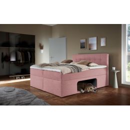 Boxbett Home Affaire, B:162cm L:210cm, rosa, Komplettbetten, "Carolin", mit Nische inkl. gepolsterter Unterlage f&uuml;r Haustiere