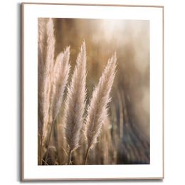 Kunstdruck Reinders, B:40cm H:50cm T:1,6cm, beige, MDF, Bilder, "Pampas"