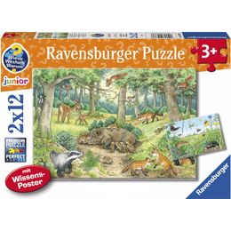 Ravensburger Kinder Puzzle "Wieso? Weshalb? Warum? Junior, Tiere im Wald und auf der Wiese", bunt, B:26cm H:18cm, Puzzles, 2x12 Teile; Made in Europe