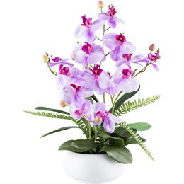 Kunstorchidee Creativ green, H:55cm, lila, Kunststoff, Kunstpflanzen, "Orchidee Phalaenopsis", mit Farnzweigen