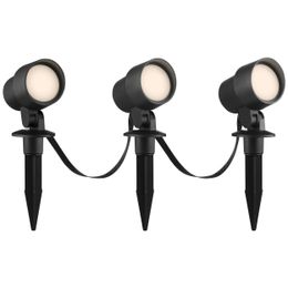 LED Gartenleuchte Brilliant, B:7cm H:20cm T:6cmschwarz, Leuchten, "Kamara", LED Gartenspie&szlig; Set, dimmbar, RGB, CCT, IP44, schwarz, App steuerbar