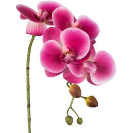 Kunstblume Creativ green, H:42cm, lila, Obermaterial: 85% Polyester, 15% Polyethylen, Kunstpflanzen, "Phalaenopsis 3D-print", mit Real-Touch-Bl&uuml;ten