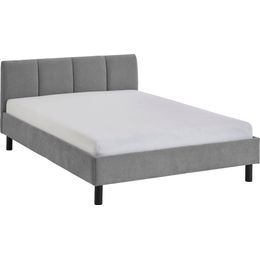 Meise M&ouml;bel Polsterbett MEISE.M&Ouml;BEL "Joker, in verschiedenen Breiten und Farben erh&auml;ltlich", grau, grau, grau, B:146cm H:82cm L:210cm, Betten, Polsterbett, wahlweise mit schwarzem oder eichefarbigem Holzfu&szlig;