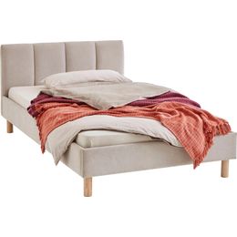 Meise M&ouml;bel Polsterbett MEISE.M&Ouml;BEL "Joker, in verschiedenen Breiten und Farben erh&auml;ltlich", beige, beige, beige, B:146cm H:82cm L:210cm, Betten, Polsterbett, wahlweise mit schwarzem oder eichefarbigem Holzfu&szlig;