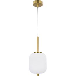 NOVA LUCE H&auml;ngeleuchten "LATO", 1, &Oslash; 16,5cm, 1 Stk., gold, Esszimmer, Leuchten, Ohne Leuchtmittel