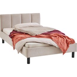 Meise M&ouml;bel Polsterbett MEISE.M&Ouml;BEL "Joker, in verschiedenen Breiten und Farben erh&auml;ltlich", beige, beige, beige, B:126cm H:82cm L:210cm, Betten, Polsterbett, wahlweise mit schwarzem oder eichefarbigem Holzfu&szlig;