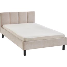 Meise M&ouml;bel Polsterbett MEISE.M&Ouml;BEL "Joker, in verschiedenen Breiten und Farben erh&auml;ltlich", beige, beige, beige, B:126cm H:82cm L:210cm, Betten, Polsterbett, wahlweise mit schwarzem oder eichefarbigem Holzfu&szlig;