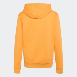 adidas terrex Jungen Kapuzensweatshirt "K MT LOGO HD", orange, Gr. 116, Obermaterial: 70% Baumwolle, 30% Polyester, Sweatshirts