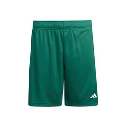 adidas Performance Sportshorts 'ENT26' Herren Gr&ouml;&szlig;e XL gr&uuml;n
