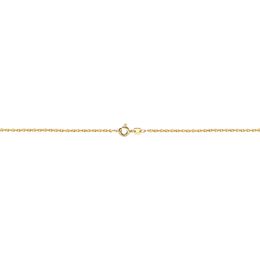Firetti Damen Collierkettchen "Schmuck Geschenk Gold 333 oder 585 Halskette Singapurkette diamantiert", 38, Gelbgold 585, B: 1,6mm, gold, Gelbgold