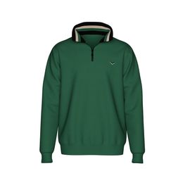 TRIGEMA Herren Sweatshirt "TRIGEMA Troyer mit kontrastfarbigen Elementen", gr&uuml;n, Basic, Gr. 4XL, Sweatware, 70% Baumwolle, 30% Polyester, Sweatshirts