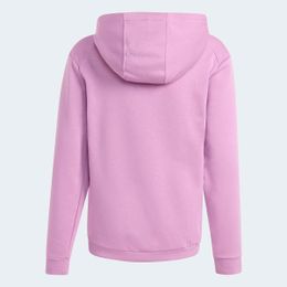 adidas terrex Jungen Kapuzensweatshirt "K MT LOGO HD", rosa, Gr. 176, Obermaterial: 70% Baumwolle, 30% Polyester, Sweatshirts