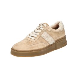 Paul Green Damen Sneaker "Paul Green Sneaker Veloursleder/Textil", Gr. 37, beige, Textil, Veloursleder, Schuhe