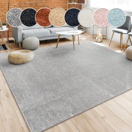Teppich Paco Home "Porto 890", silber (silberfarben), B:240cm H:13mm L:340cm, Obermaterial: 100% Polypropylen, Teppiche, Teppich, Kurzflor, Uni-Farben, ideal im Wohnzimmer & Schlafzimmer