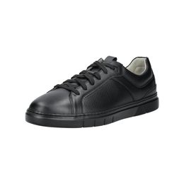 Pius Gabor Sneakers male Black size 47