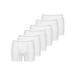 Schiesser Boxer shorts 'Cotton Essentials Authentic' male White size XXL
