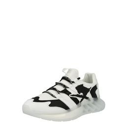 Plein Sport Sneakers 'Tiger' male White size 38