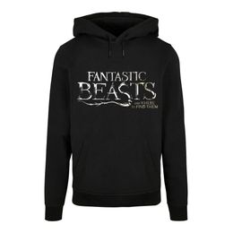 F4NT4STIC Sweatshirt 'Fantastic Beasts And Harry Potter' Herren Gr&ouml;&szlig;e XS grau / schwarz / wei&szlig;