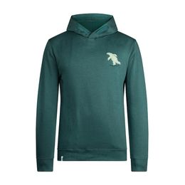 Greenbomb Sweatshirt 'Animal Ice Bear' male Green size S