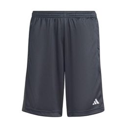 adidas Sportswear Workout Pants 'Essentials' boy Grey size 176