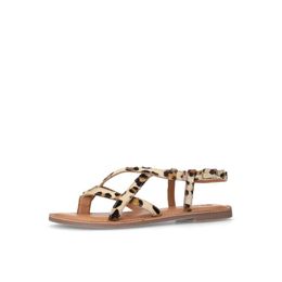Sacha London Sacha T-Bar Sandals female Beige size 39