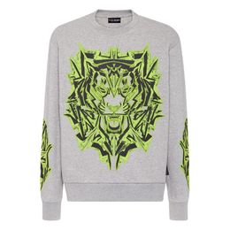 Plein Sport Sweatshirt 'Tiger' male Grey size XXXL