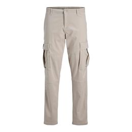 Jack & Jones Jack & Jones Cargo Pants 'JPSTKANE JONNIE' male Grey size 32