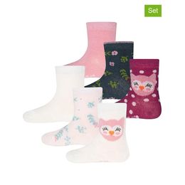 Ewers 6er-Set: Babysocken in Pink/ Creme - 40% | Gr&ouml;&szlig;e 18/19 | Babysocken-strumpfhosen