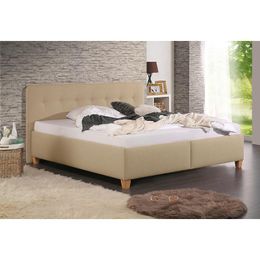 Maintal Polsterbett &raquo;Mison&laquo; mit oder ohne Matratze Bonell-, Kaltschaum-, Taschenfederkern Matratze beige Struktur fein (100% Polyester) Liegefl&auml;che L&auml;nge B: 