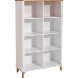 Paidi Kinderregal &raquo;LOTTE & FYNN Steiff by Paidi, 8 offene F&auml;cher, 96cm Breite&laquo; Lotte & Fynn, Highboard, Wei&szlig; mit Eiche Massivholz, stabiles und 