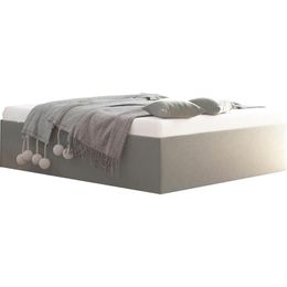 Westfalia Schlafkomfort Polsterbett &raquo;Amrum&laquo; in Samtvelours ohne Kopfteil, mit und ohne Bettkasten erh&auml;ltlich grau Bezug Glanzvelours, 100% Polyester, Polsterung 100% 