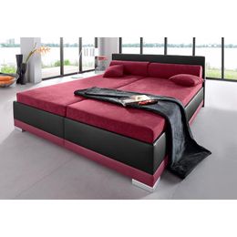 Maintal Polsterbett in 6 verschiedenen Ausf&uuml;hrungen, Made in Germany rot Liegefl&auml;che L&auml;nge B: 200cm x 180cm, Kunstleder, H&ouml;he Bett: 42cm H&ouml;he Bettseite: 27cm 