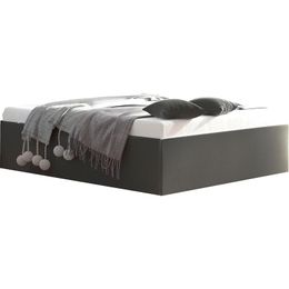 Westfalia Schlafkomfort Polsterbett &raquo;Amrum&laquo; in Samtvelours ohne Kopfteil, mit und ohne Bettkasten erh&auml;ltlich grau Bezug Glanzvelours, 100% Polyester, Polsterung 100% 