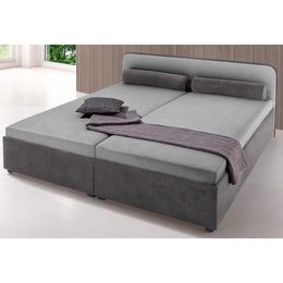 Maintal Polsterbett wahlweise mit Bettkasten grau Liegefl&auml;che L&auml;nge B: 200cm x 180cm, Microvelours, H&ouml;he Liegefl&auml;che: 42,00, Festpolsterung Festpolsterung