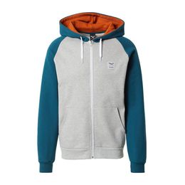 Iriedaily Zip-Up Hoodie 'De College 2' male Grey size XS