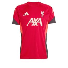 adidas Performance Trikot 'FC Liverpool Tiro 25 Competition' Herren Gr&ouml;&szlig;e M anthrazit / mandarine / rot / wei&szlig;