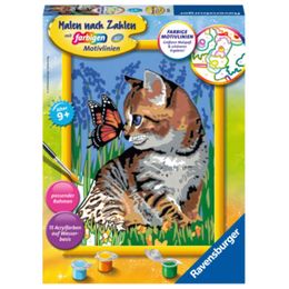 Ravensburger Verlag GmbH Nonbook - Ravensburger Malen nach Zahlen 28651 - Katze mit Schmetterling - Kind | Gr.: onesize
