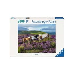 Ravensburger Puzzle 2.000 Teile Wildpferde in der Heide in bunt | Gr.: onesize