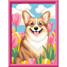 Ravensburger Kreativit&auml;t Corgi im Bl&uuml;tenmeer in bunt | Gr.: onesize