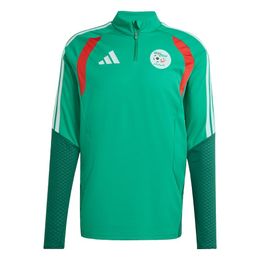 adidas Performance Jersey 'Algeria 26' male Green size S