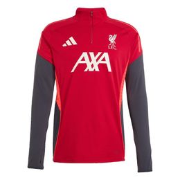 adidas Performance Trikot 'Liverpool FC Tiro 25 Competition' Herren Gr&ouml;&szlig;e L anthrazit / hummer / rot / wei&szlig;
