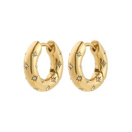 Pilgrim Earrings 'Nevaeh' female size One size Gold / Transparent