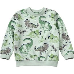 Sweatshirt mit Dino-Muster, gr&uuml;n, Gr. 98 ALANA