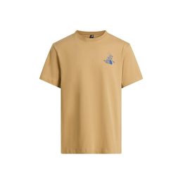 The North Face T-Shirt 'Mountain Celebration' Herren Gr&ouml;&szlig;e XS blau / khaki / hellgr&uuml;n / wei&szlig;