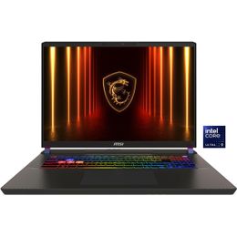 MSI Gaming-Notebook "Vector 17 HX AI A2XWHG-041", 32 GB RAM 2.000 GB SSD, Core Ultra 9, Windows11Homecosmos, grau, Notebooks